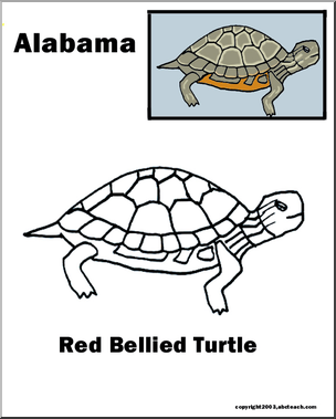 Alabama: State Reptile – Red Bellied Turtle – Abcteach