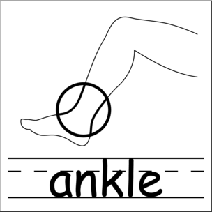 Clip Art: Parts of the Body: Ankle B&W – Abcteach