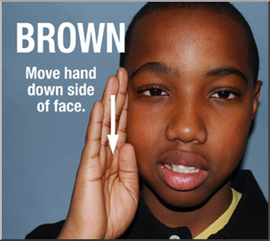 Photo: ASL Colors Brown 01 LowRes – Abcteach