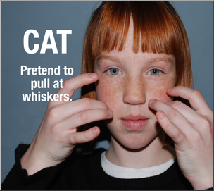 Photo: ASL Vocabulary: Cat 02 HiRes – Abcteach