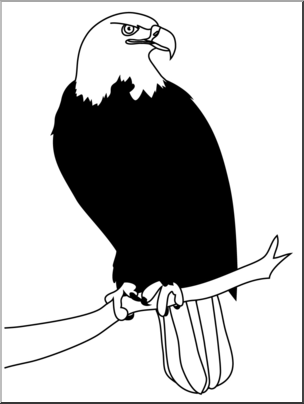Clip Art: Bald Eagle 1 B&W 1 – Abcteach
