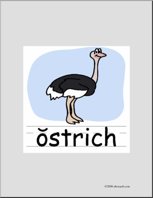 Clip Art: Basic Words: Ostrich Color (poster) – Abcteach