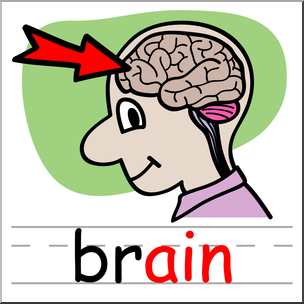 Clip Art: Basic Words: -ain Phonics: Brain Color – Abcteach