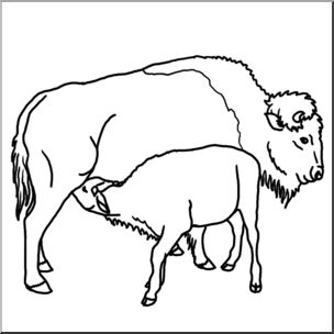 Clip Art: Buffalo w/ Calf B&W – Abcteach