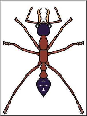 Clip Art: Insects: Bulldog Ant Color – Abcteach