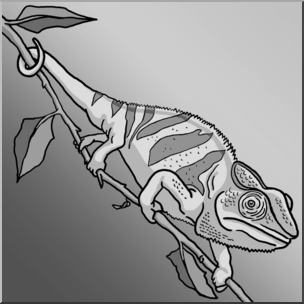 Clip Art: Green Sea Turtle Grayscale – Abcteach