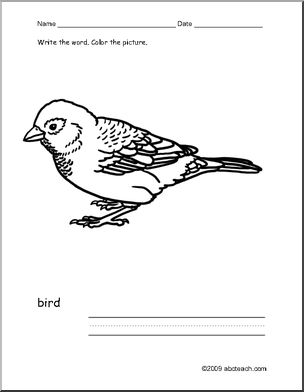 Coloring Page: Write and Color “Bird” (ESL) – Abcteach