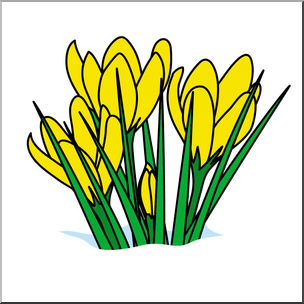 Clip Art: Flower: Crocuses Color – Abcteach