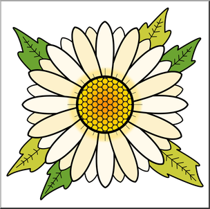 Clip Art: Daisy Color 2 – Abcteach