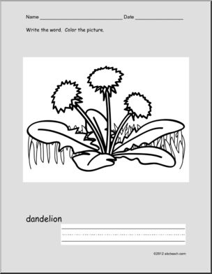 Dandelions – Abcteach