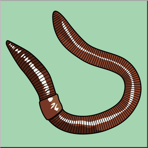 Clip Art: Earthworm Color 2 – Abcteach