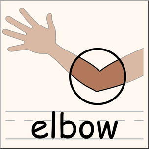 Clip Art: Parts of the Body: Elbow Color – Abcteach