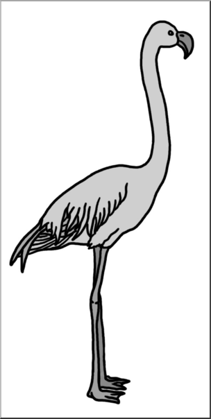 Clip Art: Flamingo Grayscale – Abcteach