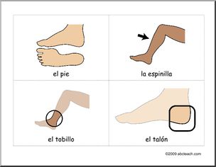 General Flashcards – Abcteach