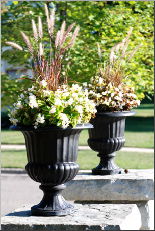 Photo: Flower Pots 01 LowRes – Abcteach