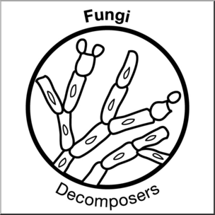 Clip Art: Soil Ecology Icons: Fungi B&W – Abcteach
