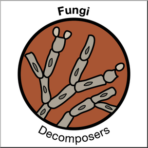 Clip Art: Soil Ecology Icons: Fungi Color – Abcteach