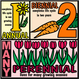 Clip Art: Growing Seasons Color – Abcteach