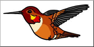 Clip Art: Hummingbird Color 2 – Abcteach