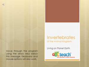 PowerPoint: Presentation with Audio: Animal Kingdom: Invertebrates ...