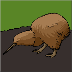 Clip Art: Kiwi Color 1 – Abcteach