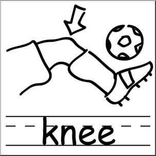 Clip Art: Basic Words: Knee B&W Labeled – Abcteach