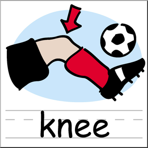 Clip Art: Basic Words: Knee Color Labeled – Abcteach