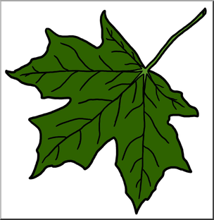 Clip Art: Leaf: Sugar Maple Color – Abcteach
