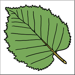 Clip Art: Leaf: White Birch Color – Abcteach