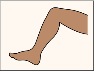 Clip Art: Parts of the Body: Leg Color Unlabeled – Abcteach