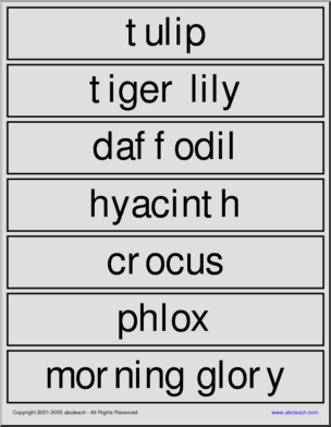 Word Wall: Flowers – Abcteach