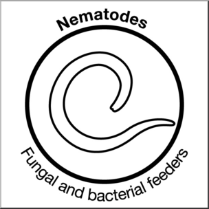 Clip Art: Soil Ecology Icons: Nematodes 1 B&W – Abcteach