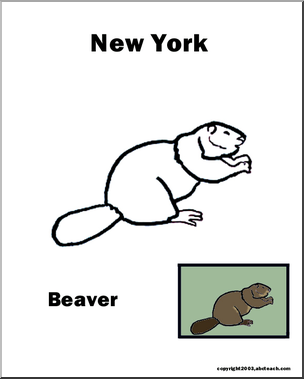 New York: State Animal – Beaver – Abcteach
