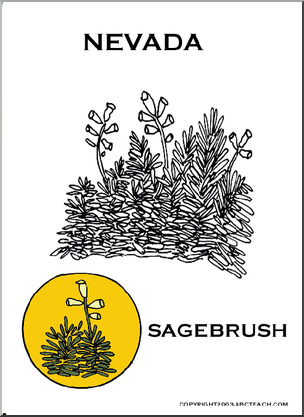 Nevada: State Flower – Sagebrush – Abcteach