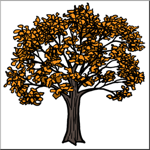 Clip Art: Oak Tree Autumn Color 1 – Abcteach