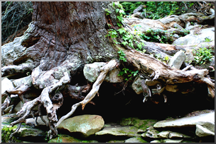 Photo: River 01 HiRes – Abcteach