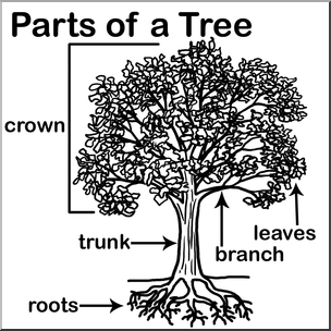 Clip Art: Tree Parts B&W – Abcteach