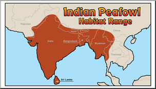 Clip Art: Habitat Map: Peafowl Color – Abcteach