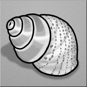 Clip Art: Seashells: Periwinkle Shell Grayscale – Abcteach