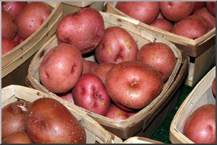 Photo: Potatoes 01a LowRes – Abcteach