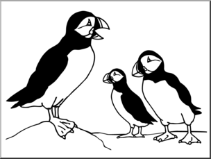 Clip Art: Puffins B&W 2 – Abcteach