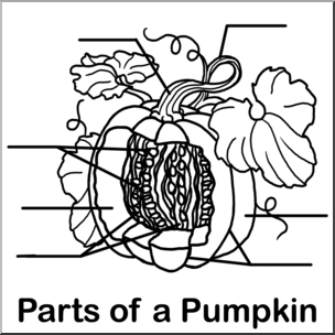 Clip Art: Cells: Plant Unlabeled Color – Abcteach