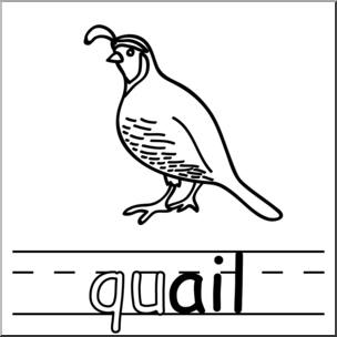 Clip Art: Basic Words: -ail Phonics: Quail B&W – Abcteach