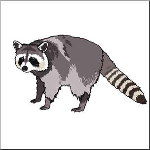Clip Art: Raccoon Color 2 – Abcteach
