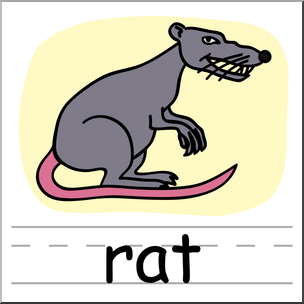 Clip Art: Basic Words: Rat Color Labeled – Abcteach