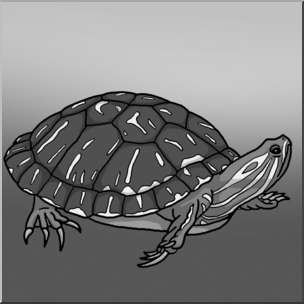 Clip Art: Red Eared Slider Turtle Grayscale – Abcteach