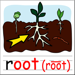 Clip Art: Basic Words: -oot Phonics: Root Color – Abcteach