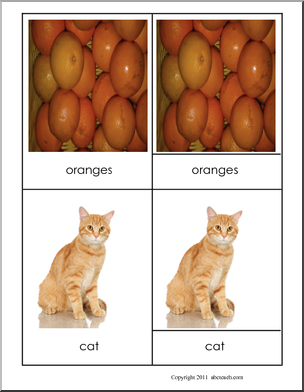Montessori: Three-Part Matching Cards: Secondary Colors – Abcteach