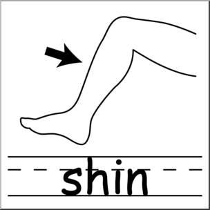 Clip Art: Parts of the Body: Shin B&W – Abcteach