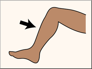 Clip Art: Parts of the Body: Shin Color Unlabeled – Abcteach